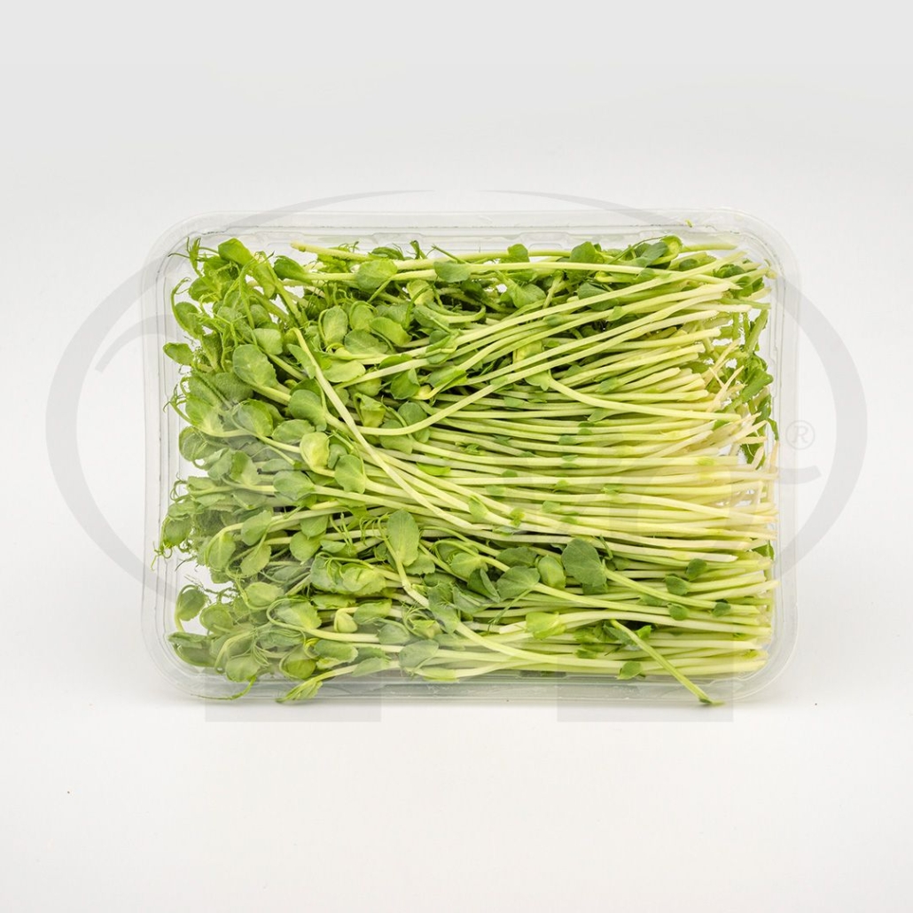 Pisello verde - VIVO SRL | Germogli Bio Italiani