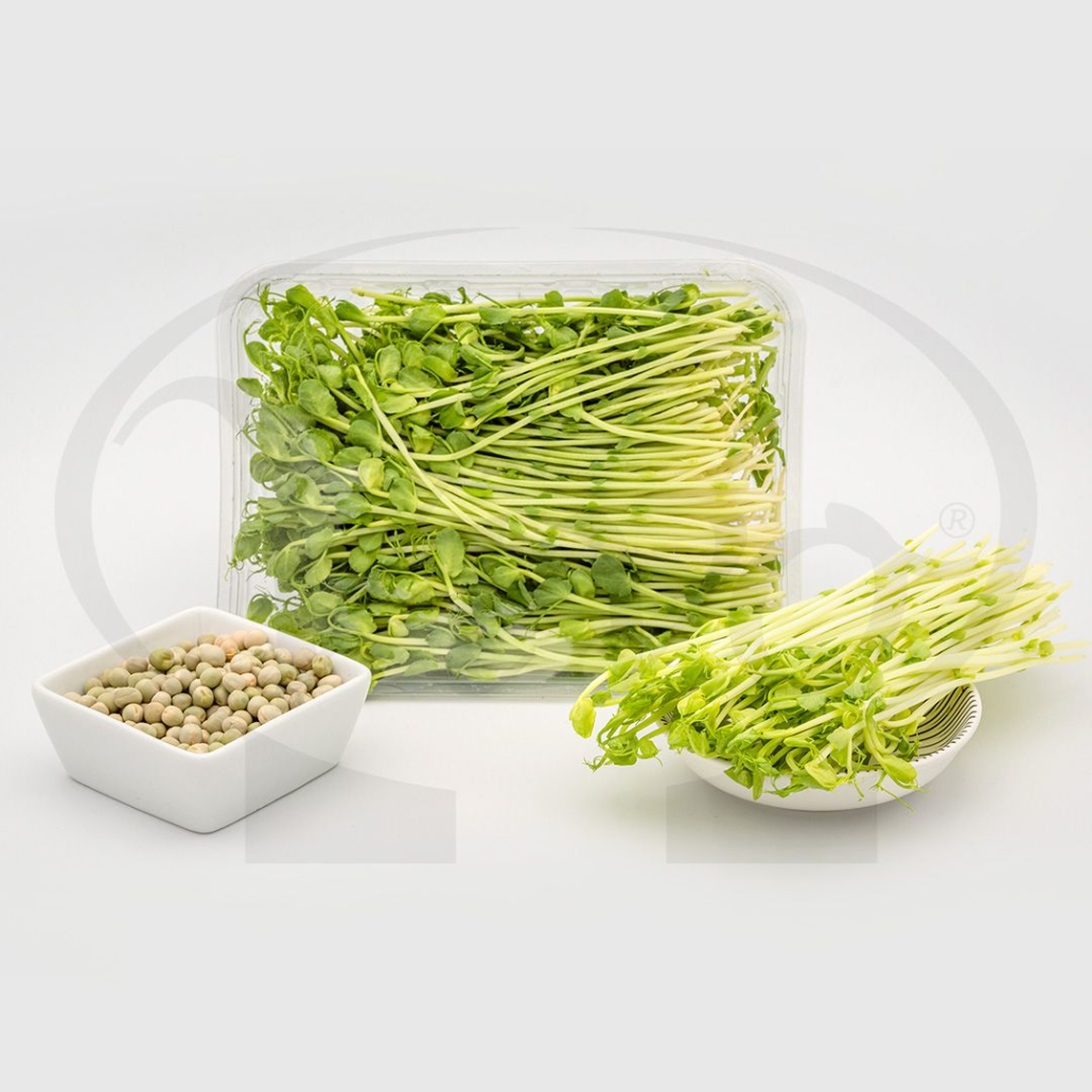 Pisello verde - VIVO SRL | Germogli Bio Italiani